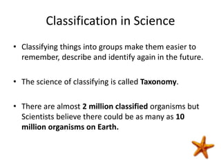Classification | PPT