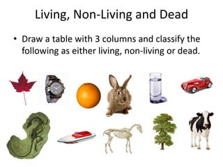 Classification | PPT