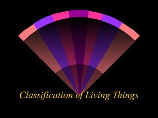 Classification | PPT