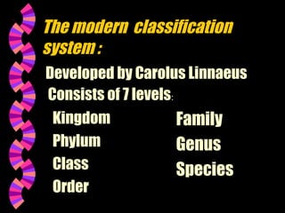 Classification | PPT