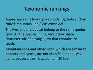 Classification and bacteria | PPTX