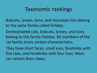 Classification and bacteria | PPTX