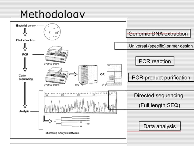 Classification of Enterobacteriaceae family | PPT | Biological Sciences ...