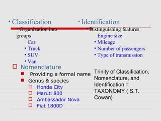 Classification of Enterobacteriaceae family | PPT