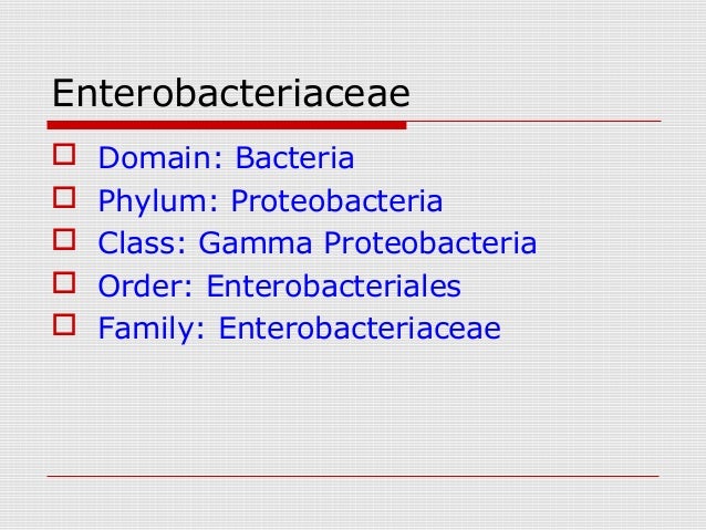 Classification of Enterobacteriaceae family
