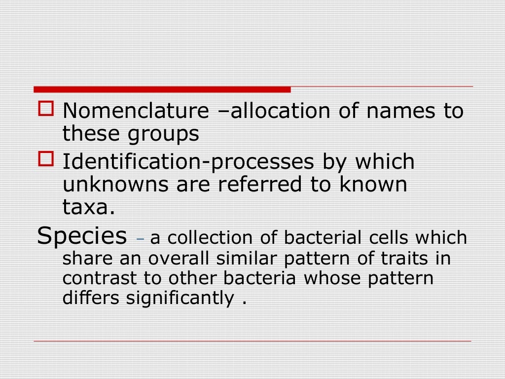 Classification of Enterobacteriaceae family