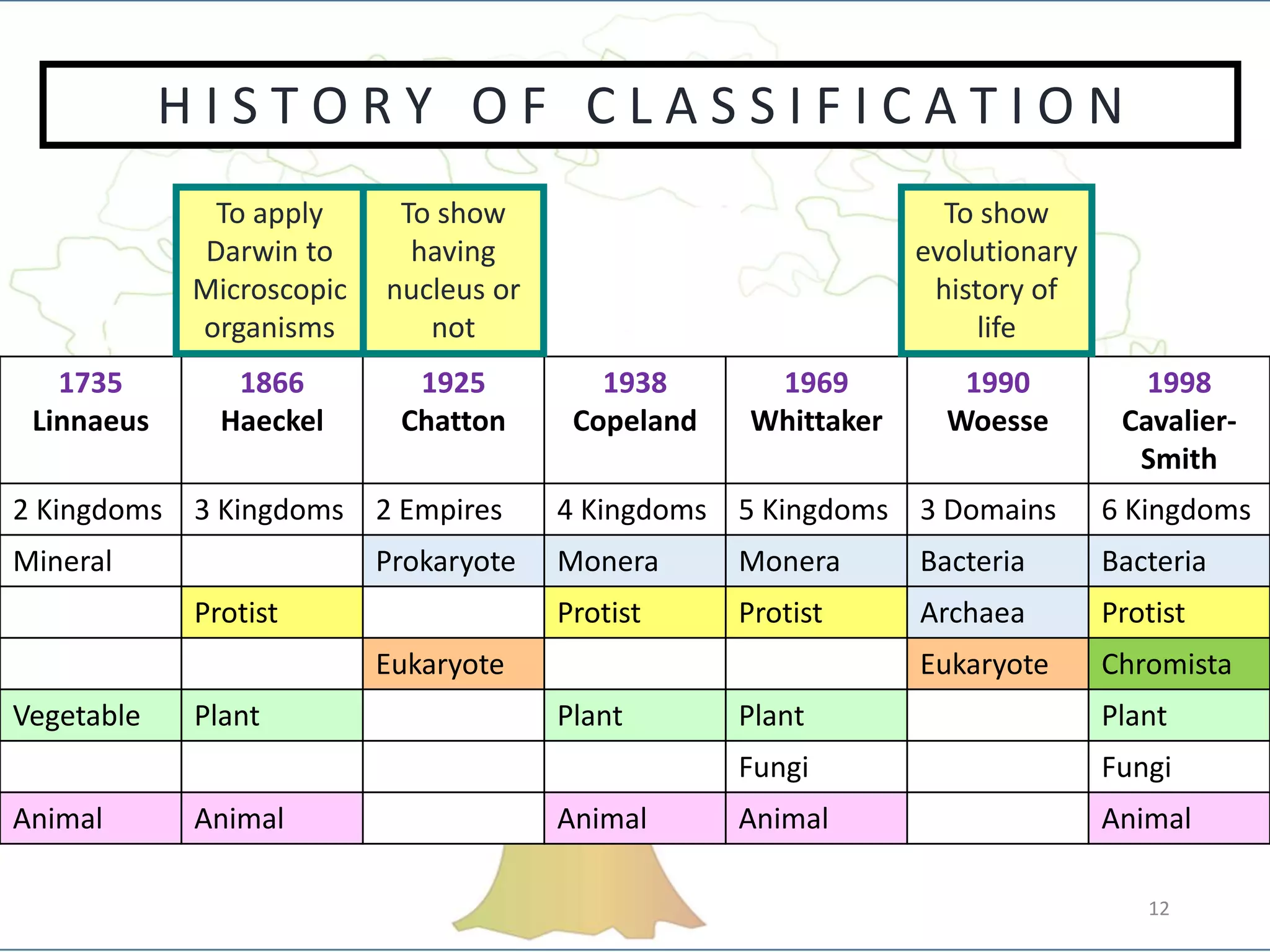 Genetics 1: Classification- Kingdoms & Cladograms | PPTX