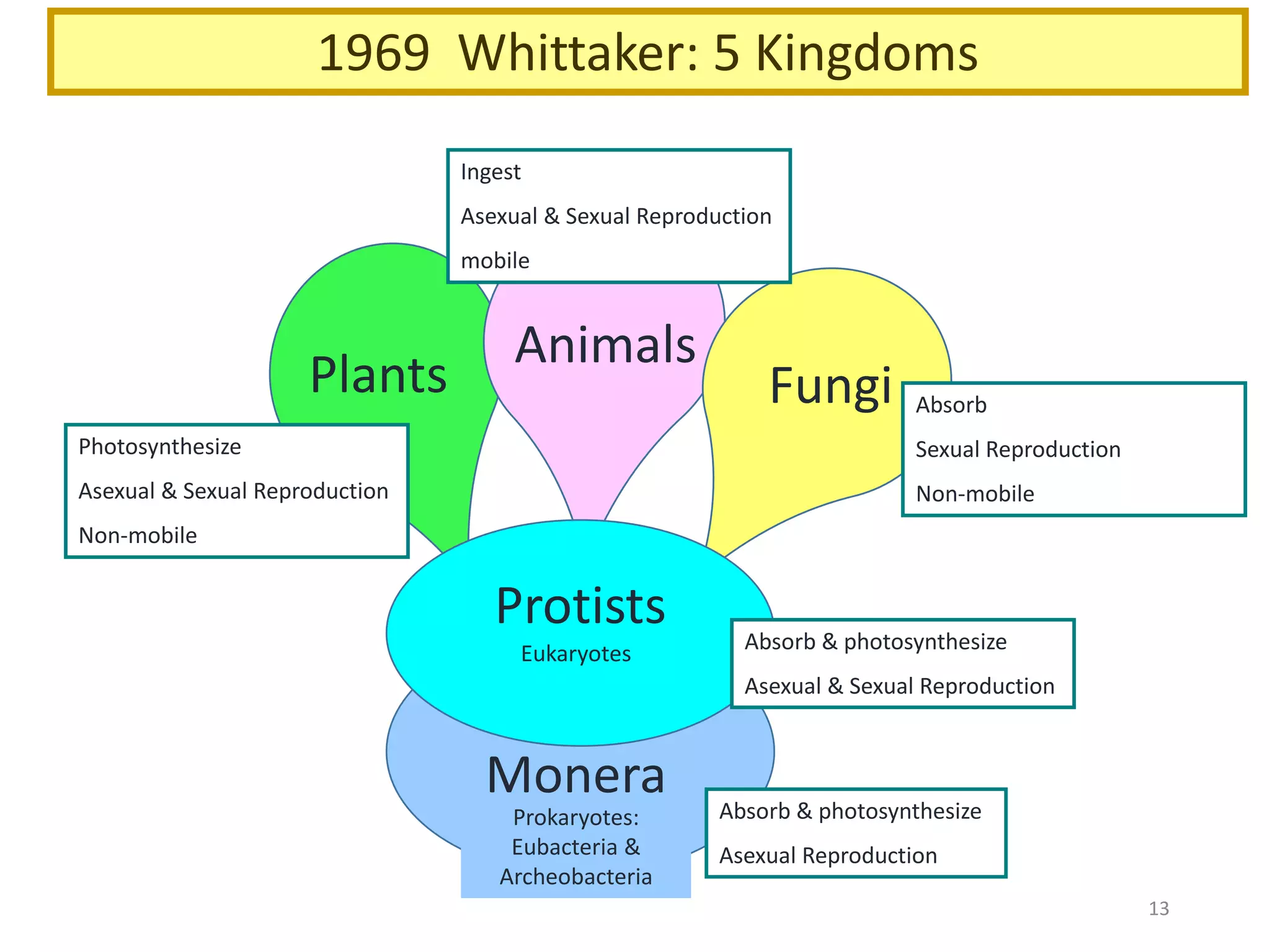 Genetics 1: Classification- Kingdoms & Cladograms | PPTX