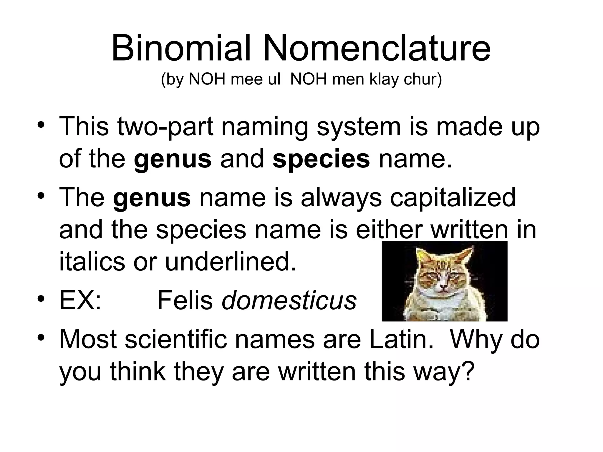 Classification | PPT