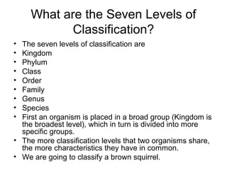 Classification | PPT