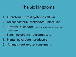 Classification | PPTX | Operating Systems | Computer Software and ...