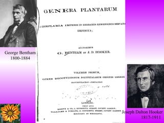 Classification | PPT