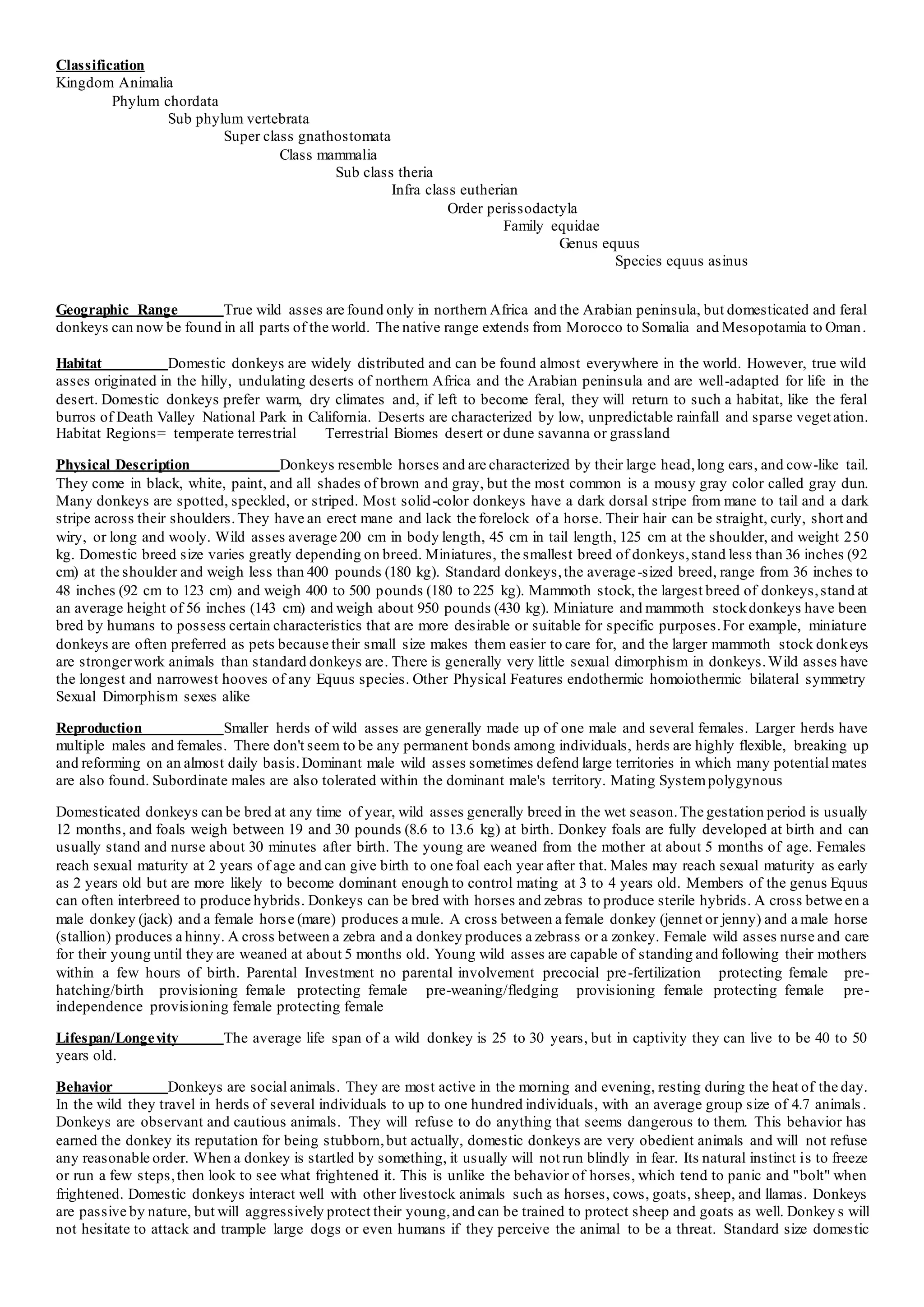 Classification donkey | DOCX