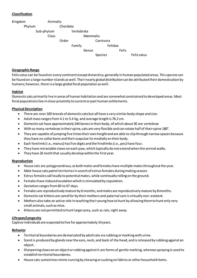 Classification of cat | DOCX