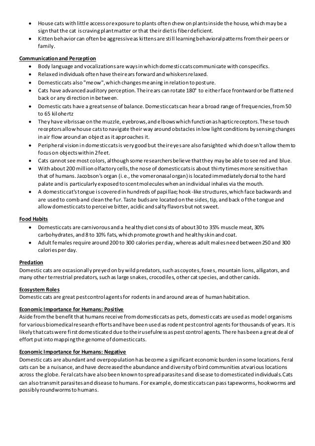 Classification of cat