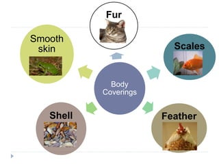 Classification | PPT