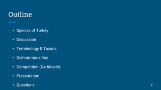 Classification | PPT