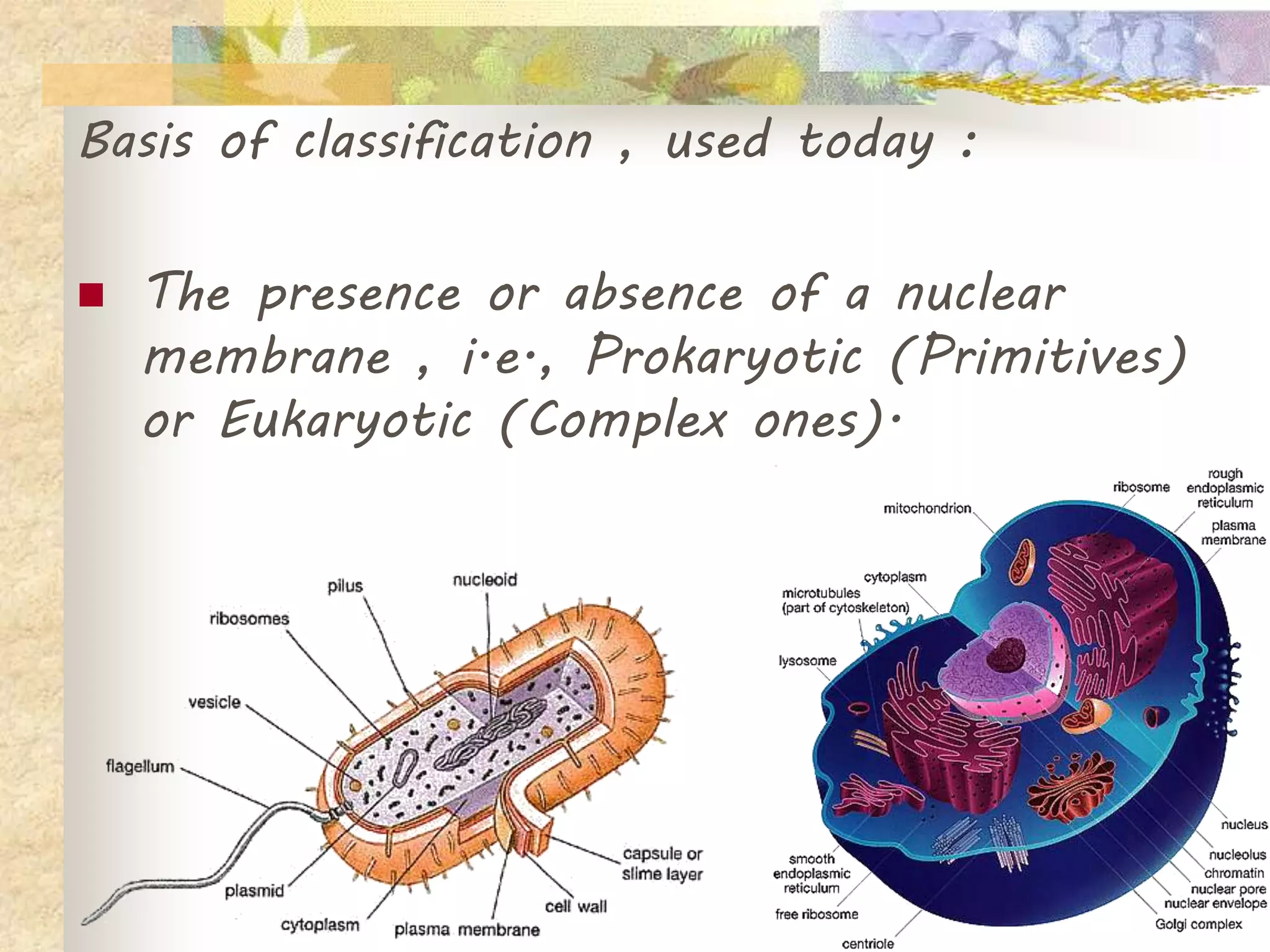 Classification of organisms | PPTX
