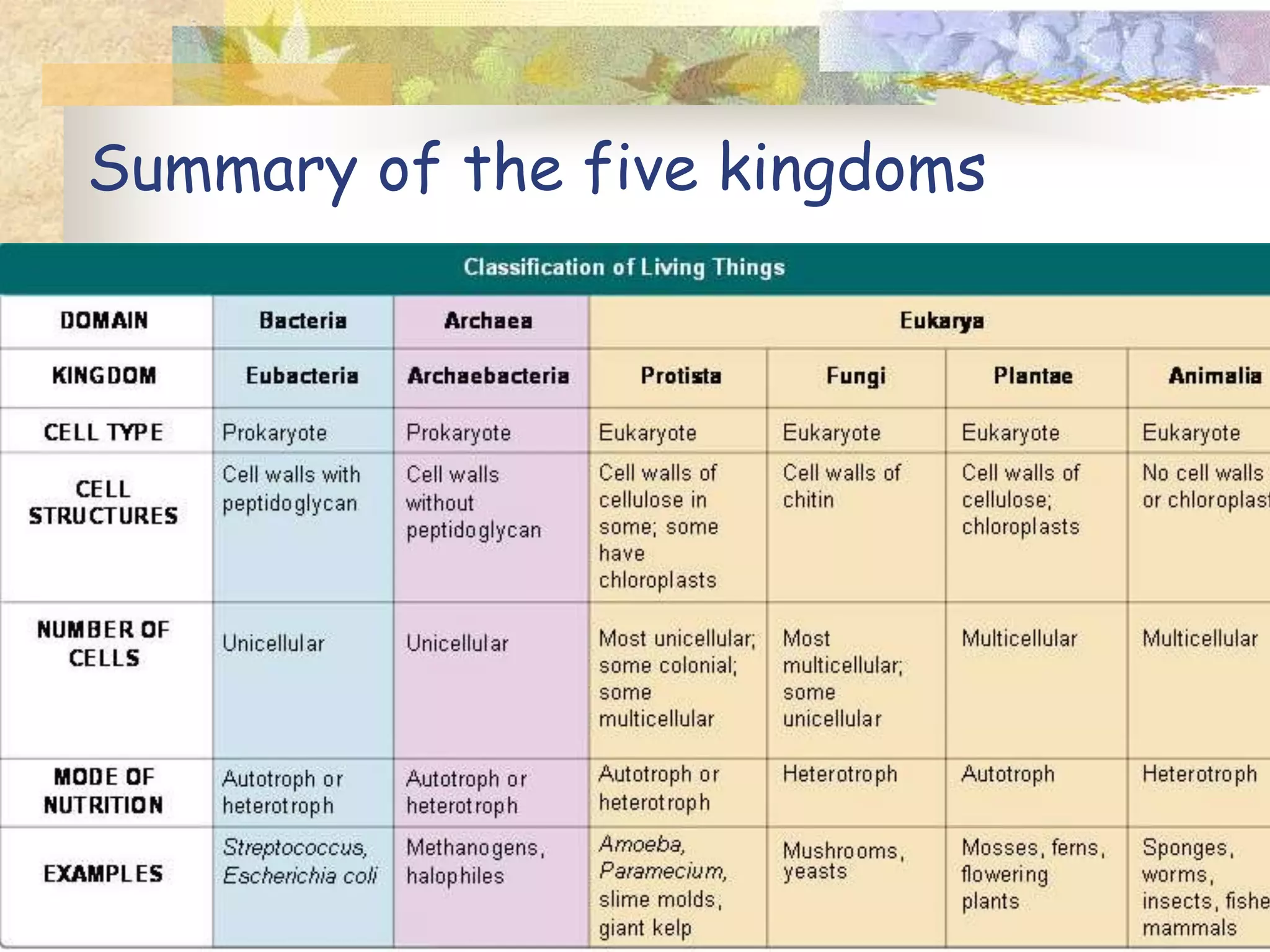 Classification of organisms | PPTX