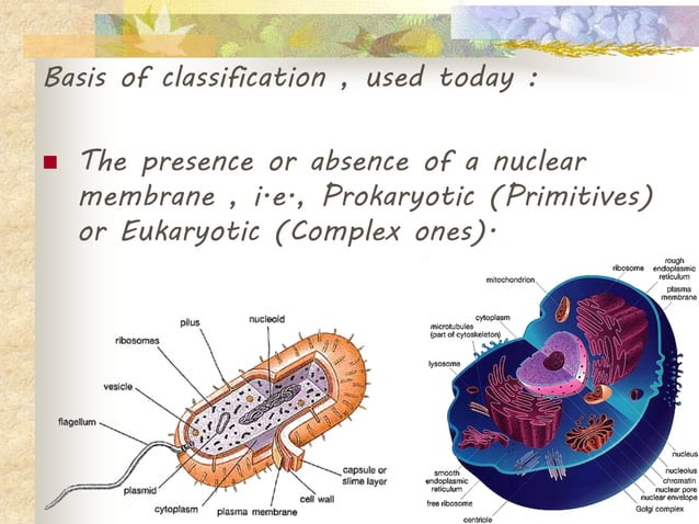 Classification of organisms | PPTX