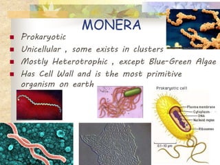 Classification of organisms | PPTX