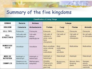 Classification of organisms | PPTX