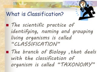 Classification of organisms | PPTX