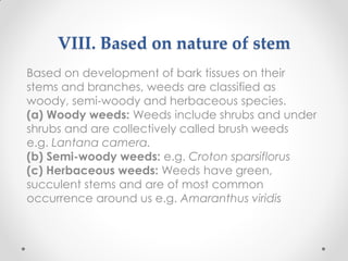 Classification of Weeds | PDF