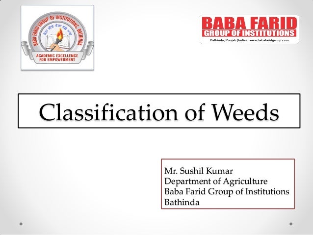Classification of Weeds