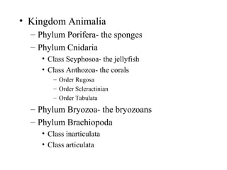 Classification | PPT | Biological Sciences | Science