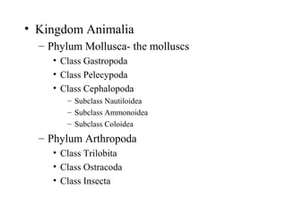 Classification | PPT | Biological Sciences | Science