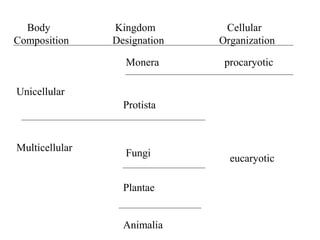 Classification | PPT | Biological Sciences | Science