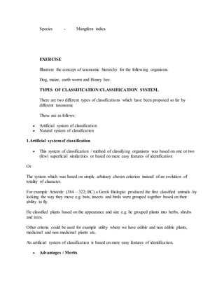 Classification | PDF