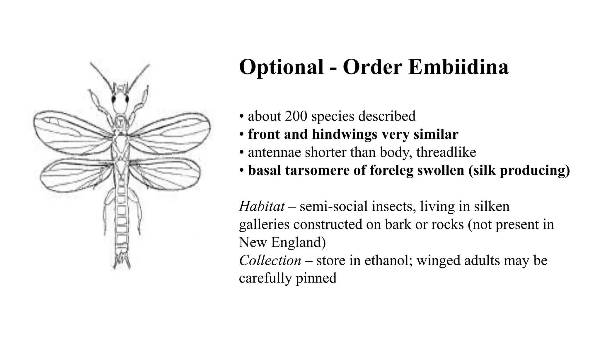 insect taxonomy importance systematics and classification | PPTX