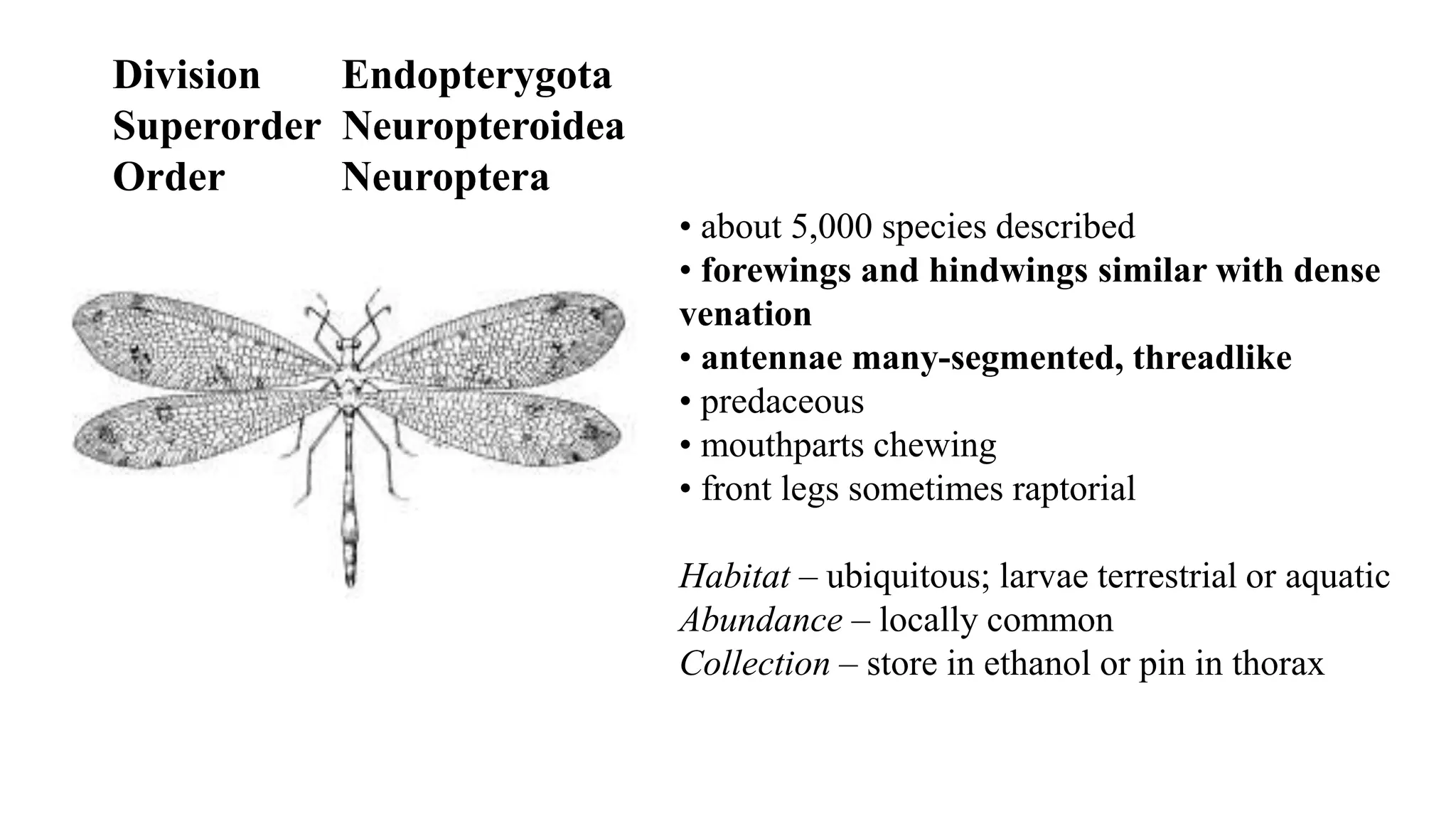 insect taxonomy importance systematics and classification | PPTX