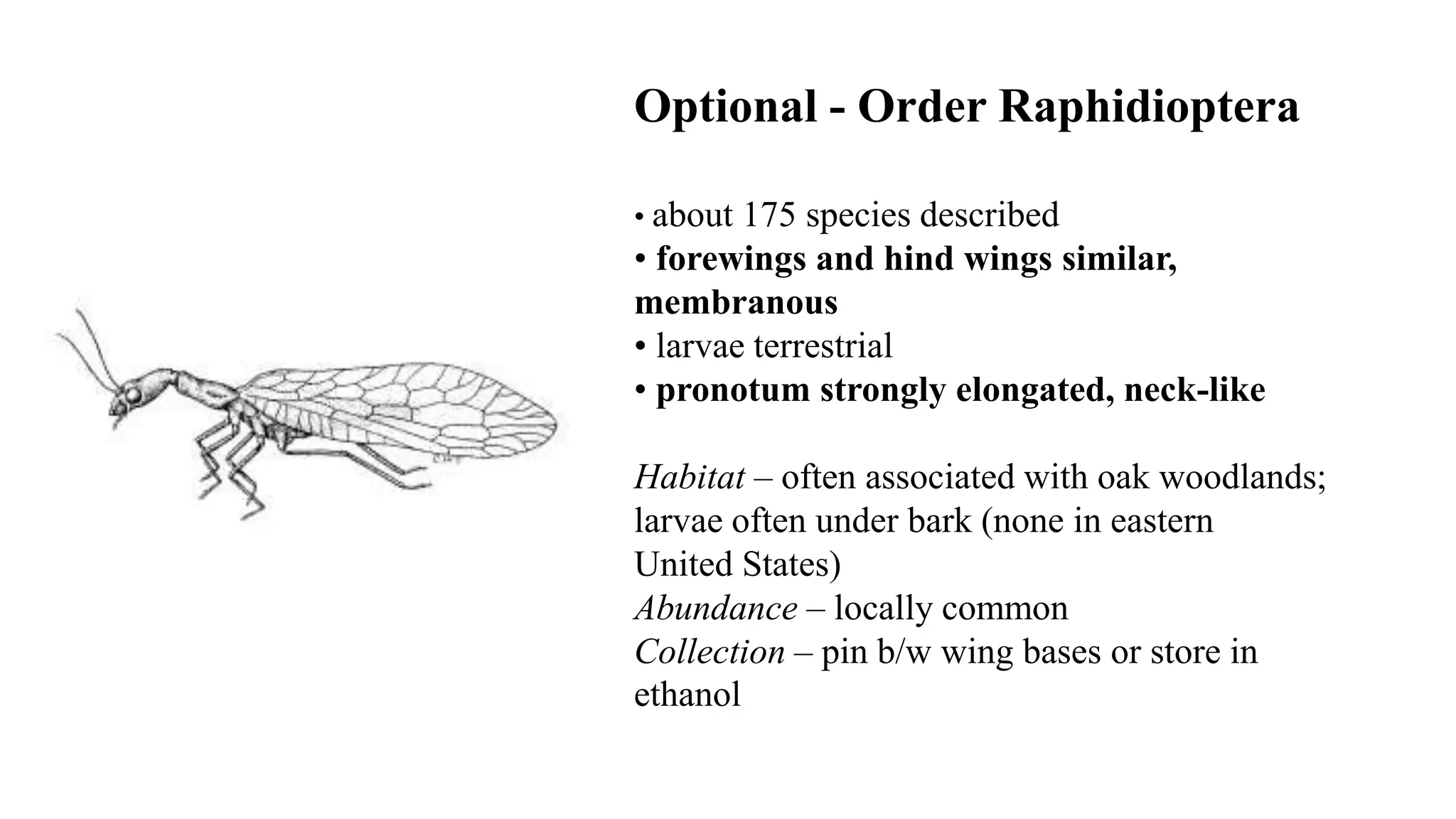 insect taxonomy importance systematics and classification | PPTX