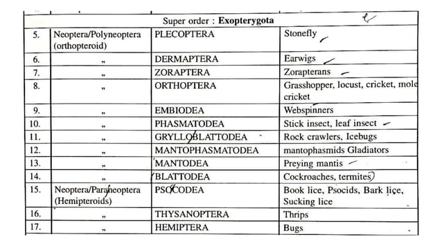 insect taxonomy importance systematics and classification | PPTX ...