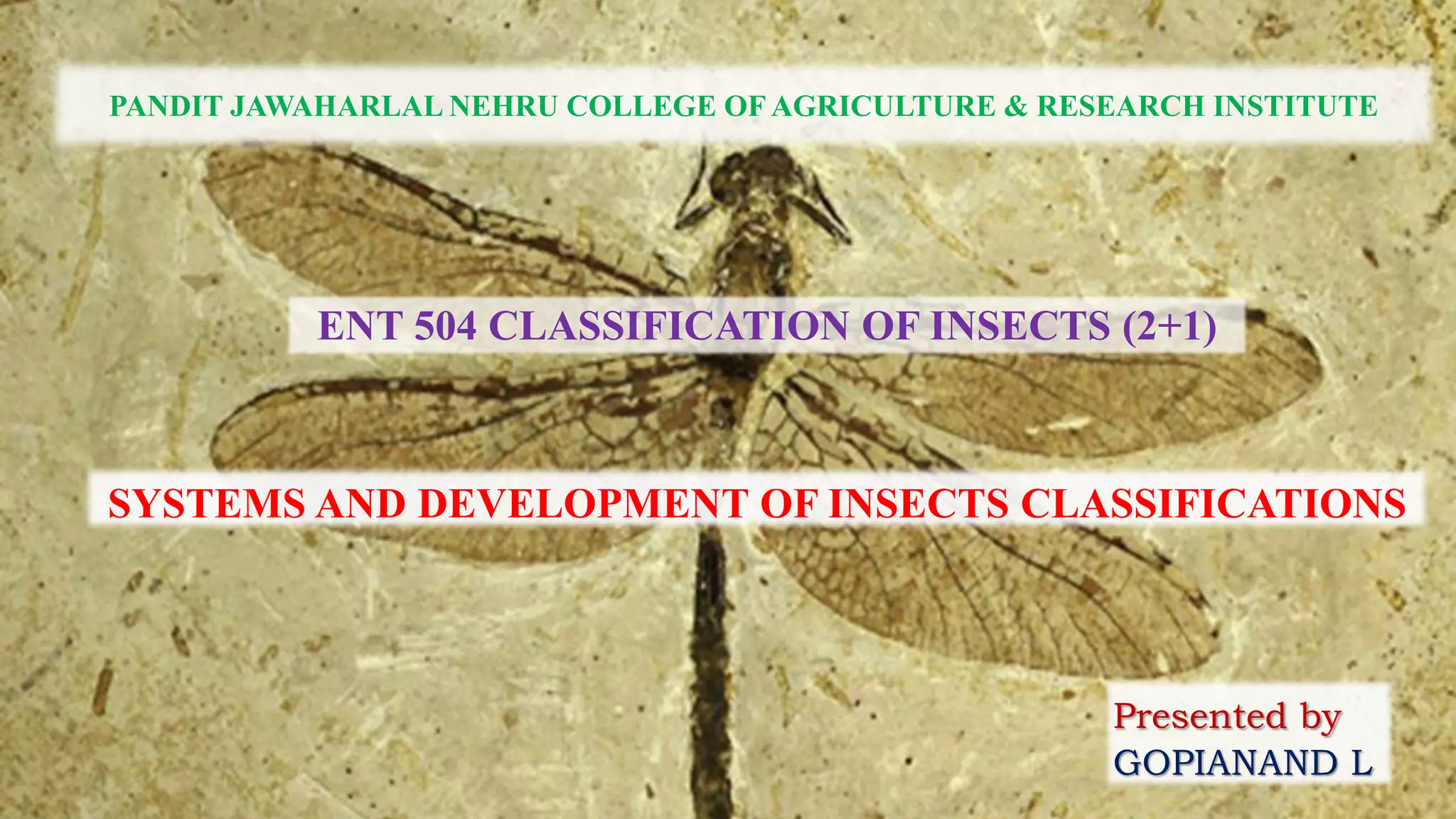 Development of Insects classification | PPTX