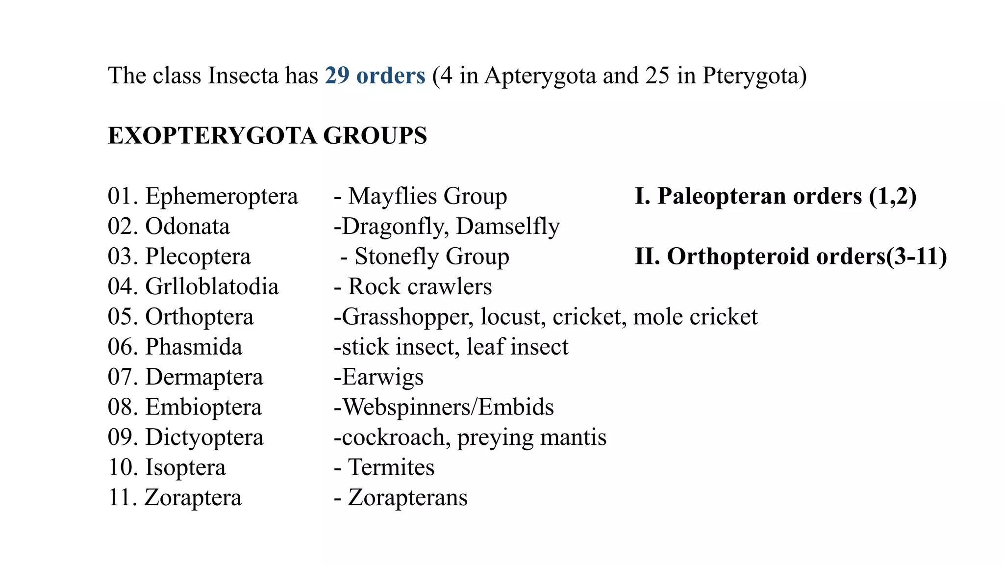 Development of Insects classification | PPTX