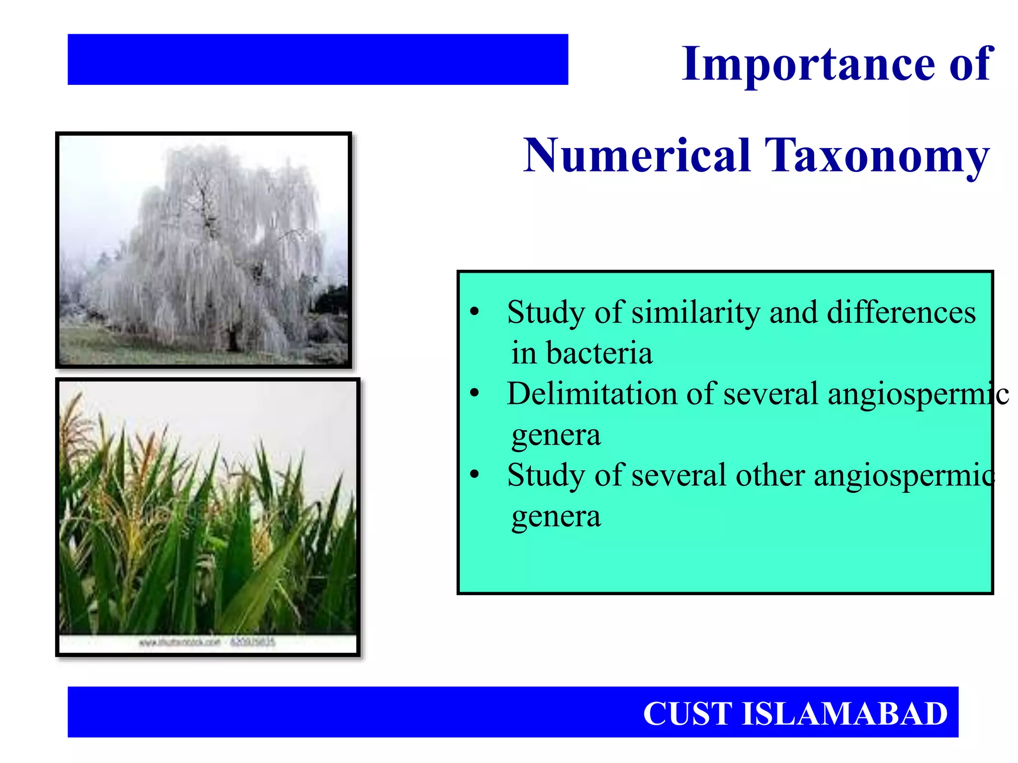 Classification | PPT
