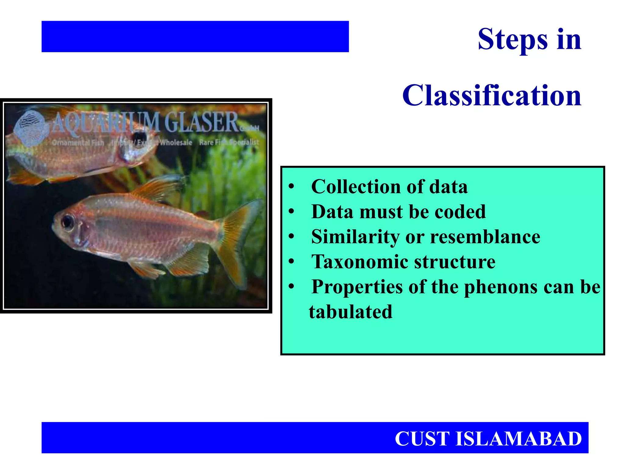 Classification | PPT