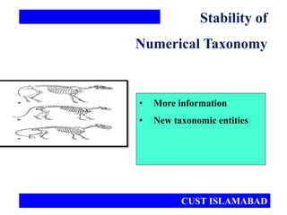 Classification | PPT