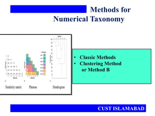 Classification | PPT