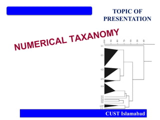 Classification | PPT