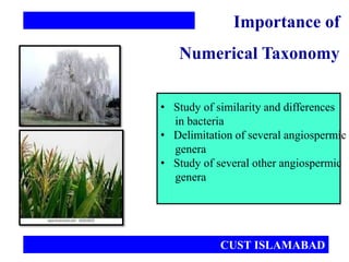 Classification | PPT