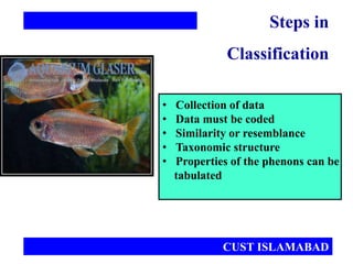 Classification | PPT