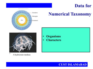 Classification | PPT