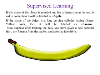 Classification | PPTX | Technology & Computing