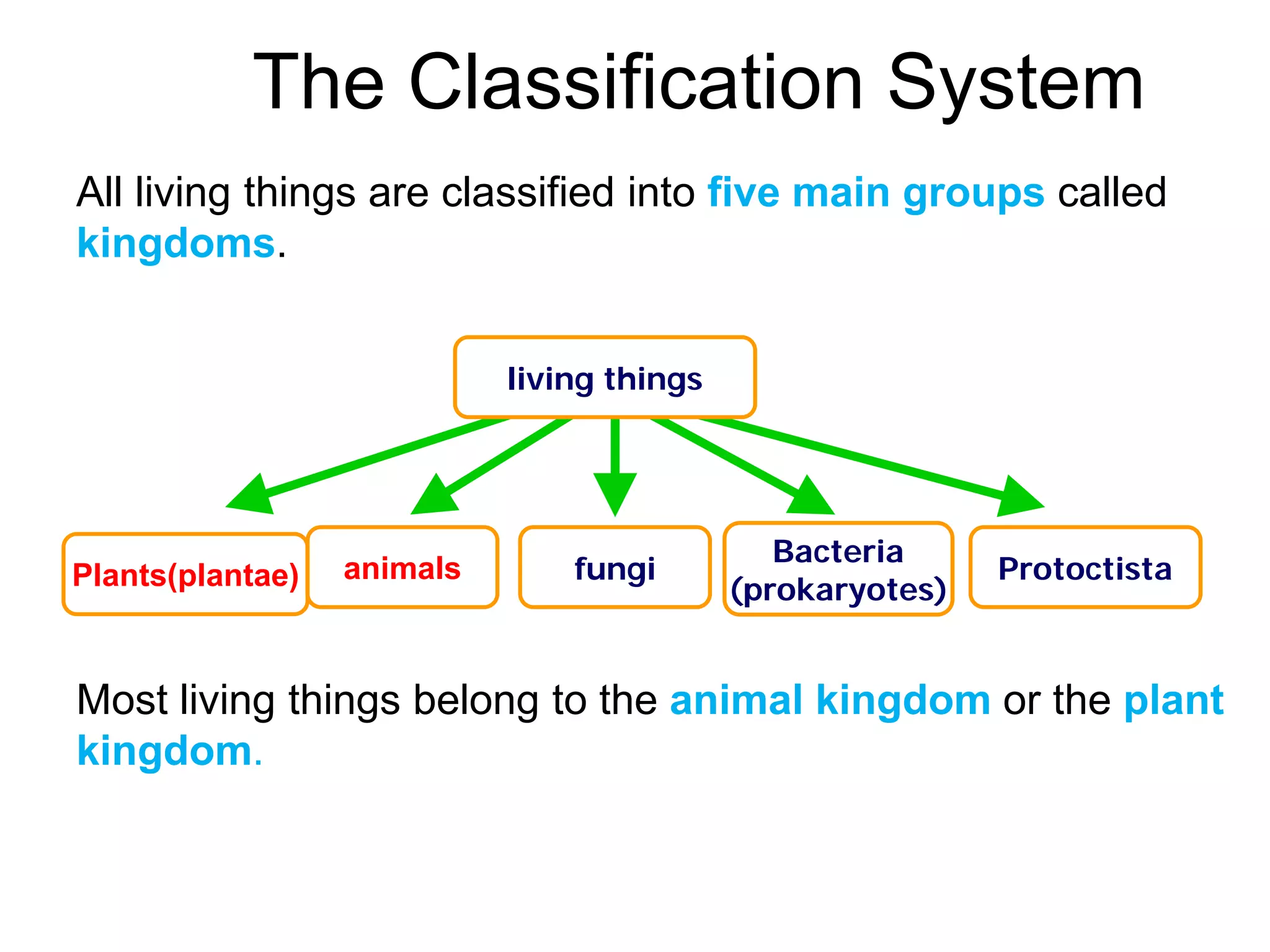 Classification.pdf