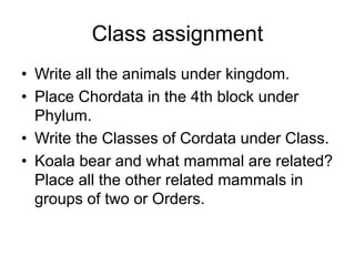 Classification.ppt